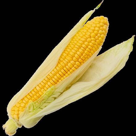 Veggie Puffs Original | Kids + Toddler Snacks | Earth's Best