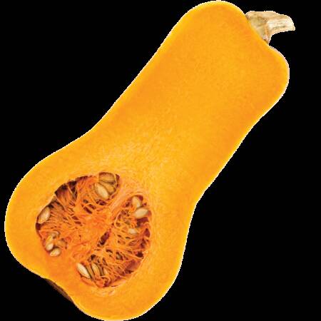 Butternut + Ginger Puree Recipe! | Earth's Best