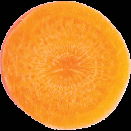 Cheesy Carrot Toasties | Earth's Best