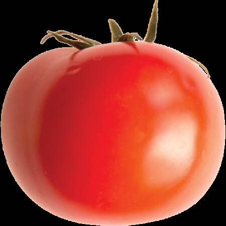 Tasty Tomato Salsa Dip Recipe | Earth's Best