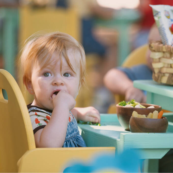 Organic Baby Food + Toddler Meals | Earth's Best