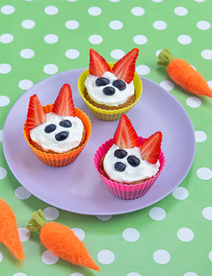 Toddler Snacks | Earth's Best